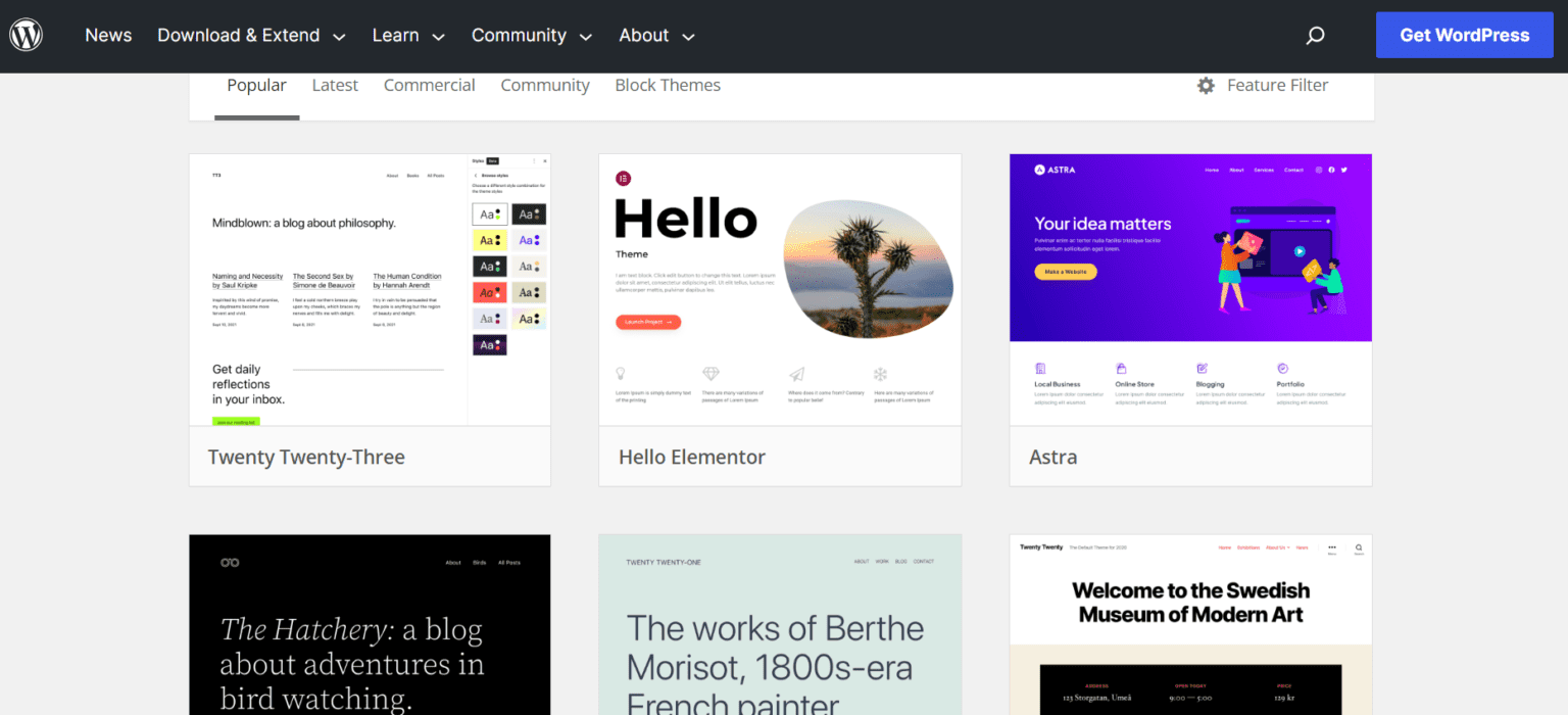 Guide: How to Choose the Right WordPress Theme - WpressExperts